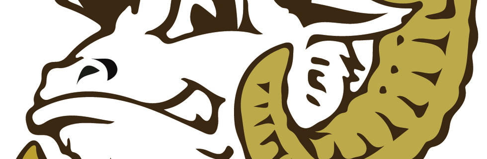 Holt Football (2024 - 2025) | Blast Athletics