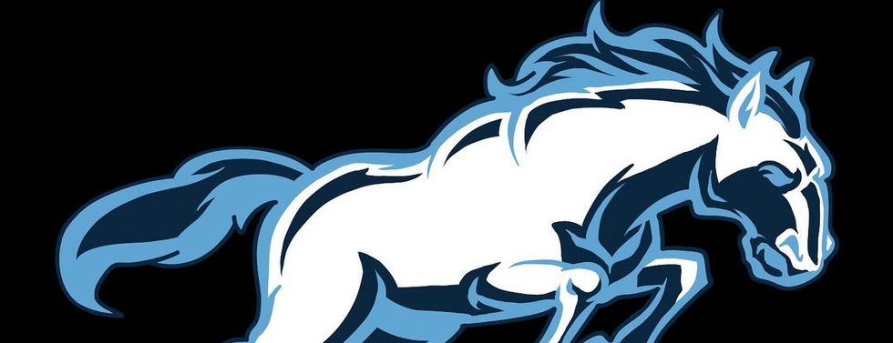 Otay Ranch High School Freshman Football (2025 - 2026) Sponsors | Blast ...