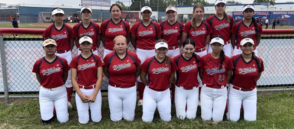 Wildcats Willcox/Hunter 16u | Blast Athletics