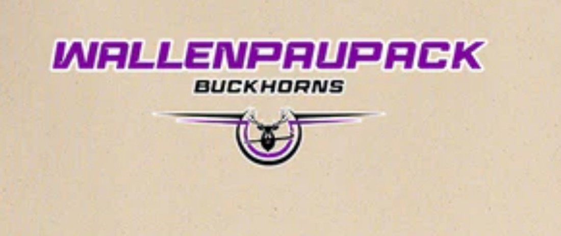 Wallenpaupack Area Girls Varsity Field Hockey (2024 - 2025) | Blast ...