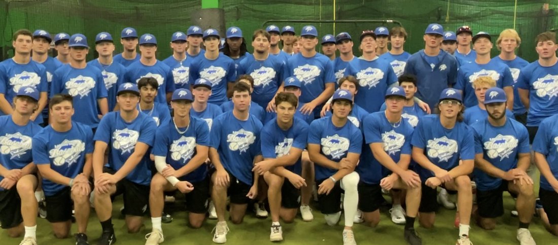 Lansing Community Baseball (2023 - 2024) | Blast Athletics